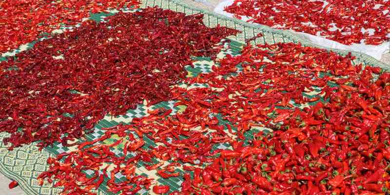Comment Conserver Des Piment Frais? - Meilleur des Mondes : Magazine ...